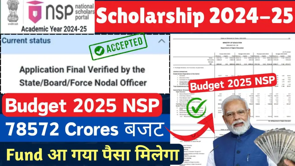 NSP Scholarship Budget 2025 | Department Of Higher Education 2025 | NSP Scholarship Payment 2024 ...